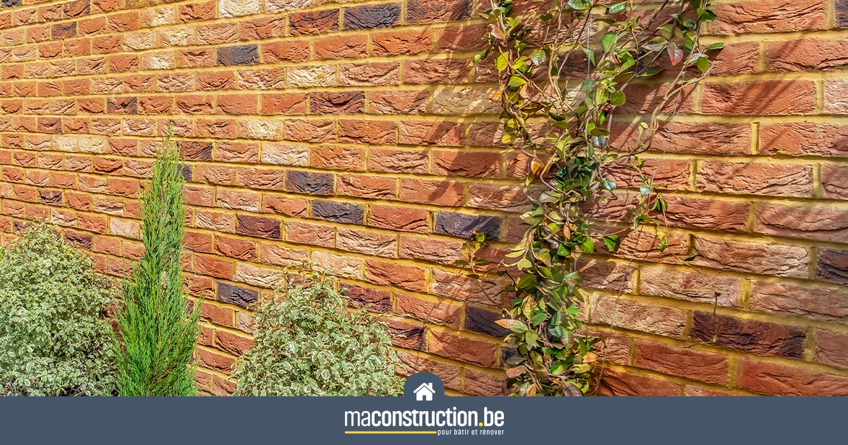 Quels sont les droits de votre voisin sur un mur mitoyen